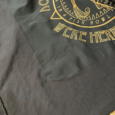 Free Bird Shirt, Comfort Colors Band Tshirt, Old School Band T-shirt ...