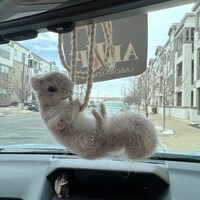 Squirrel Hairpin Animal Hairpin Needle Felted Gray Squirrel - Etsy Canada