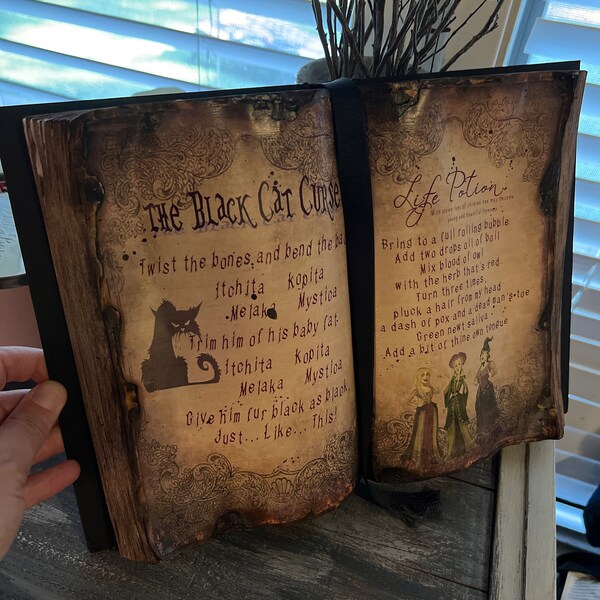 Black Cat Curse and Life Potion Spell Book, Hocus Pocus Inspired - Etsy