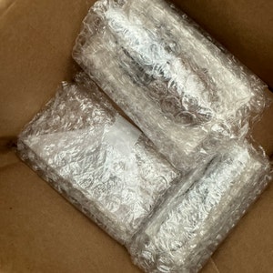 Skull Face Shield Beetle SPREAD Mask Real Insect Bug Taxidermy Craft ...