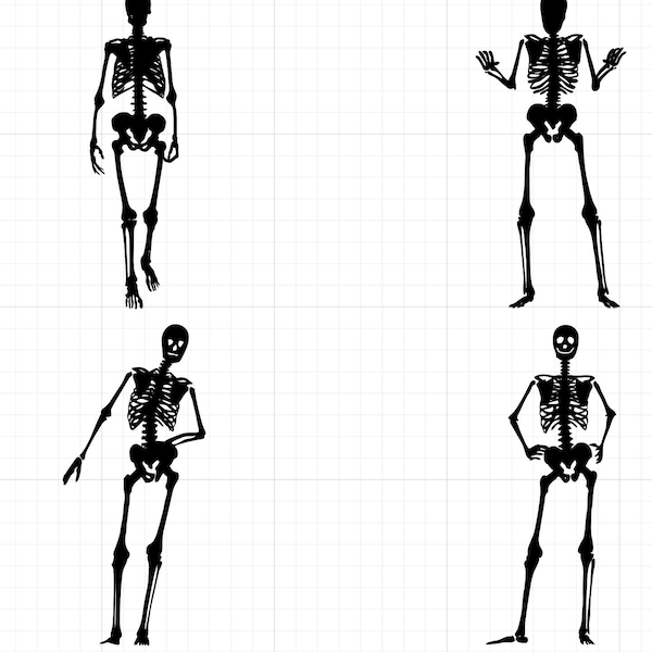 Skeleton Svg - Skeleton Silhouette - Skeleton Cut Files - Skeleton Svg ...