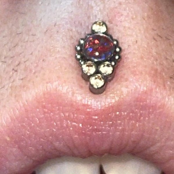 Implant Titanium Push in Threadless Nose Set ,L Bend Nose Stud ...