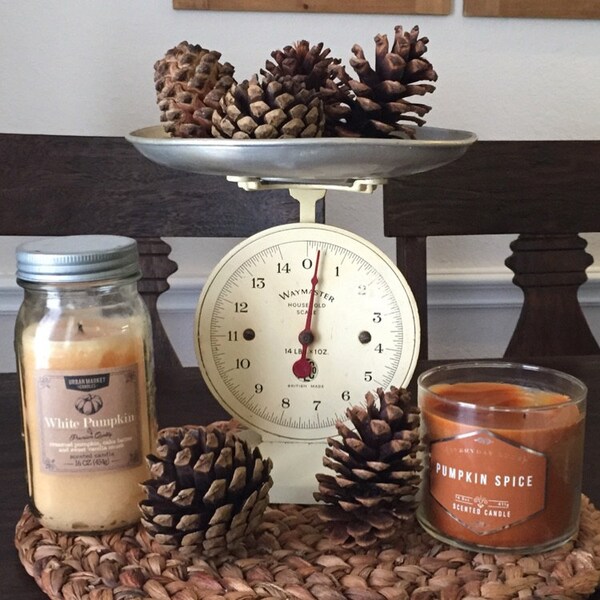 Alice in Wonderland, Alice's Adventures Musical, Alice Film, Fiona ...