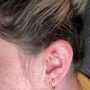 Rook Earring Gold Rook Jewellery Rook Piercing Rook Ring Rook Piercing ...