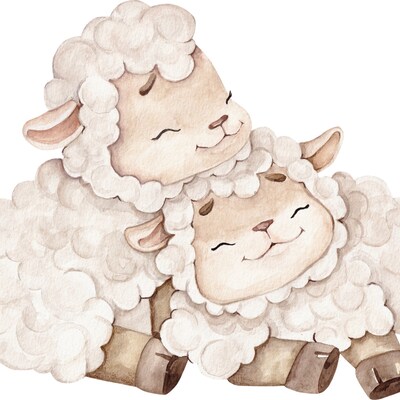 Watercolor Sheep Clipart, Baby Sheep Clipart, Nursery Art, Kids Clipart ...