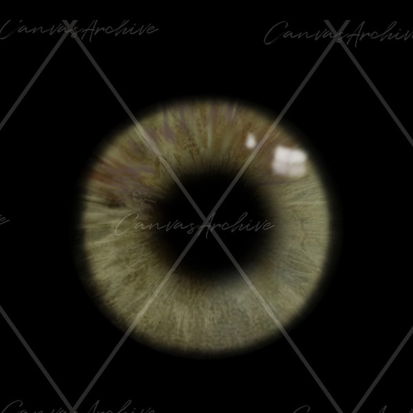 Custom Eye Canvas, Your Eyes Wallart, Digital Illustrated Eyes, Eyes ...