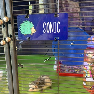 Personalized Hedgehog Name Plate / Hedgehog Sign / Cage Accessory ...