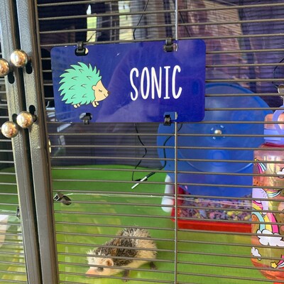 Personalized Hedgehog Name Plate / Hedgehog Sign / Cage Accessory ...
