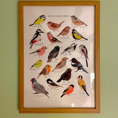 British Birds Print Watercolour Art Print British Nature Print Bird ...