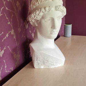 Plaster Cast of Michelangelo's David, Eye Sculpture. Male Sculpture ...