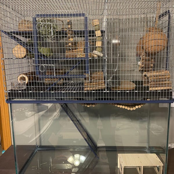 36.5x19 30 or 40 Gallon Breeder Aquarium Cage Topper One Story Front ...