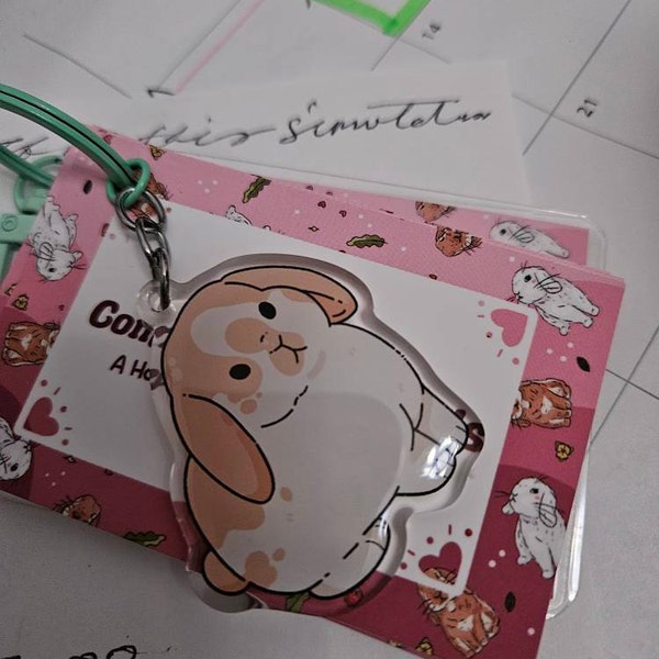 Mallard Duck Acrylic Keychains - Etsy