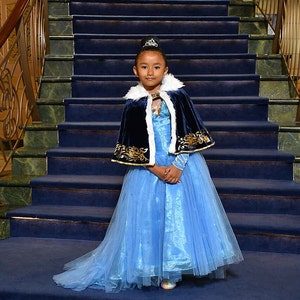 Handmade Anna Costume Anna Dress Princess Anna Dress - Etsy