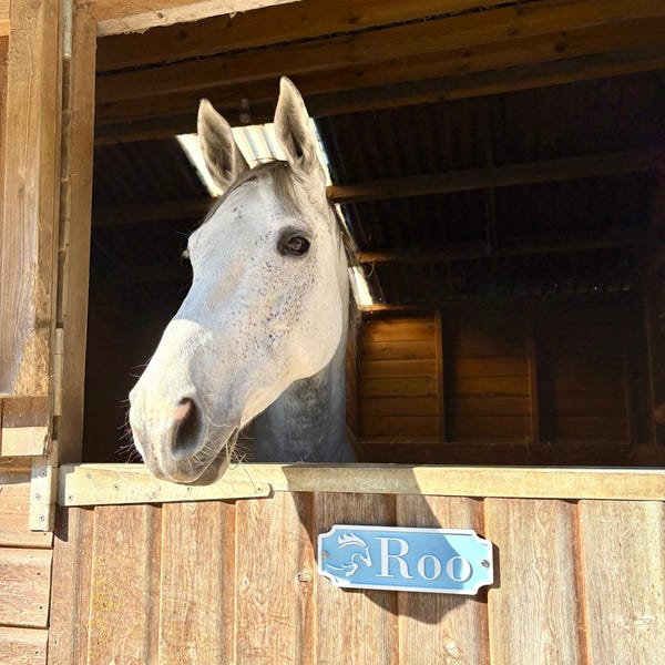 Rat Room Sign Yard Signs Riding School Stable Name Plate Sign Stable ...