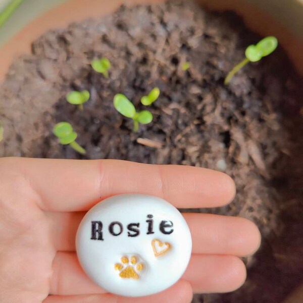 Lucky Pocket Star, Good Luck Token, You Got This Gift, Pocket Hug, Send ...