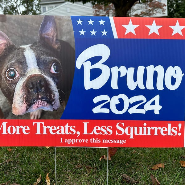 Presidential Funny Humorous Yard Sign - Etsy