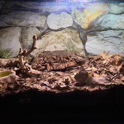 Silver Medley Rock / HD Stone Aquarium Background Rocky Fish Tank ...