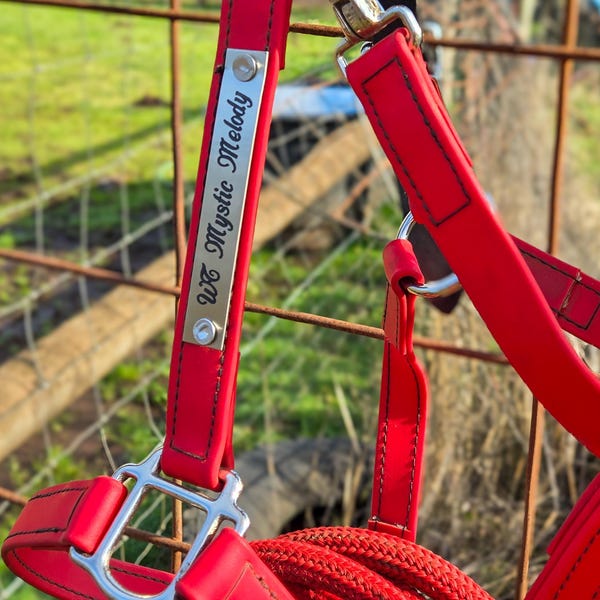 Custom Engraved SILVER Tack, Bridle, Martingale Plate, Horse Tack Plate ...