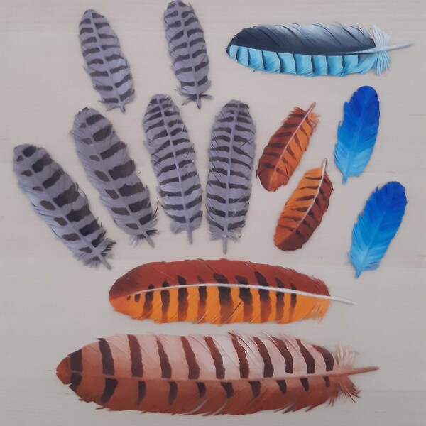 Tissue Paper Feathers, Vegan Feathers, Fake Feather - Etsy