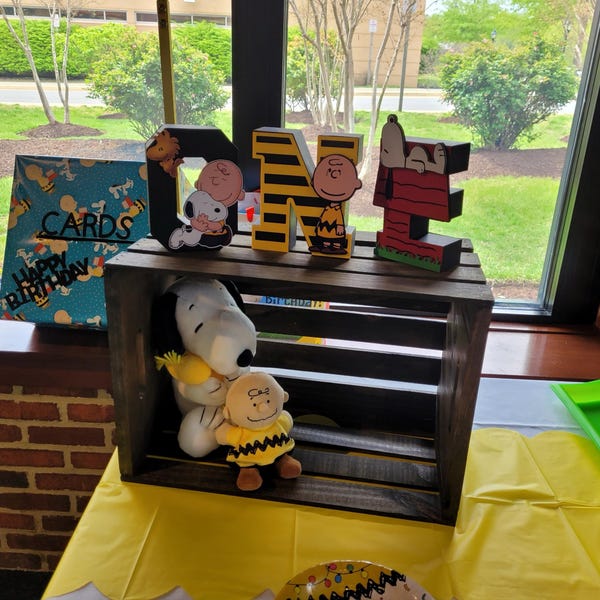 Snoopy Party 3D Letters: Custom Charlie Brown Decor - Etsy