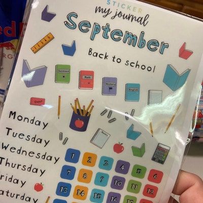 June Monthly Bullet Journal Sticker Kit Strawberry Themed - Etsy