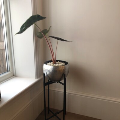 Indoor Hammered Planter Round Silver Finish on Stand mira ...