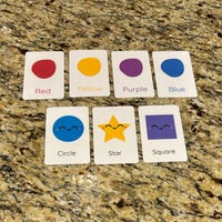 Preschool Focus Wall Printable Preschool Learning Flashcard Weekly ...