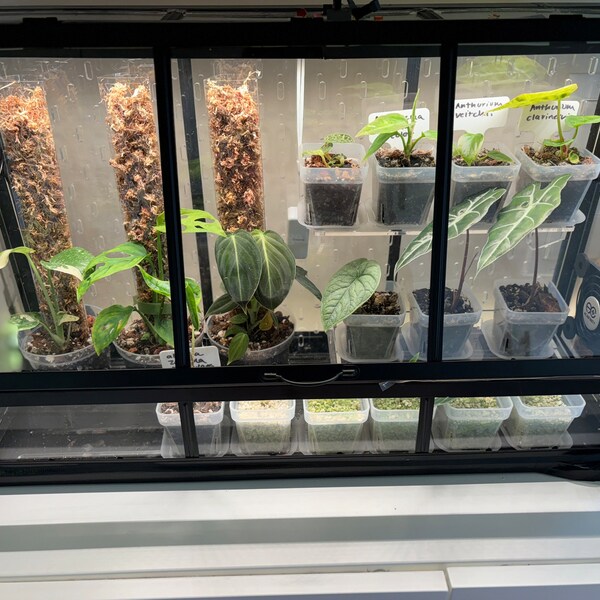 AKERBAR Desktop Greenhouse (25in) Pegboards and SKADIS Accessories for ...