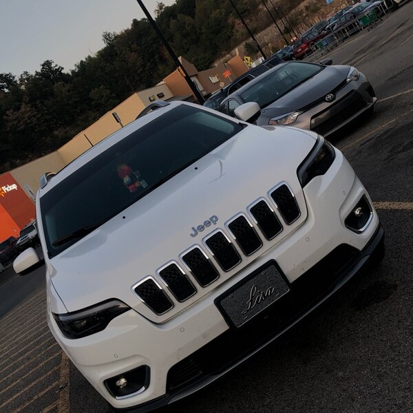 Custom Mirror "bronze" License Plate, Car Tag, Personalized Car Tag ...