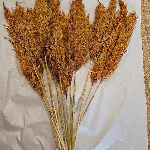 Bridal Bouquet Nightfall Wedding Bouquet Boho Dried Flower Bouquet ...