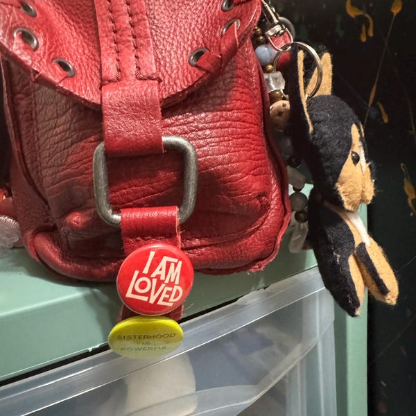 SAVE FERRIS Ferris Bueler's Day off 1 Button - Etsy