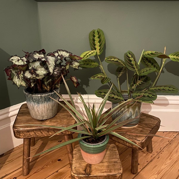 Rustic Wooden Plant Pot Stand Family - Etsy