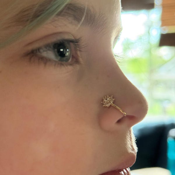 Adjustable Dainty CZ Nose Cuff Gold Silver Fake Nose Ring No Piercing ...
