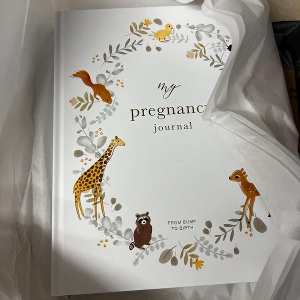My Pregnancy Journal, Expectant Mother Gift, Pregnancy Planner ...