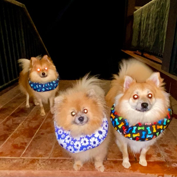 Blue Paw Prints Puppy Bumper® - Etsy