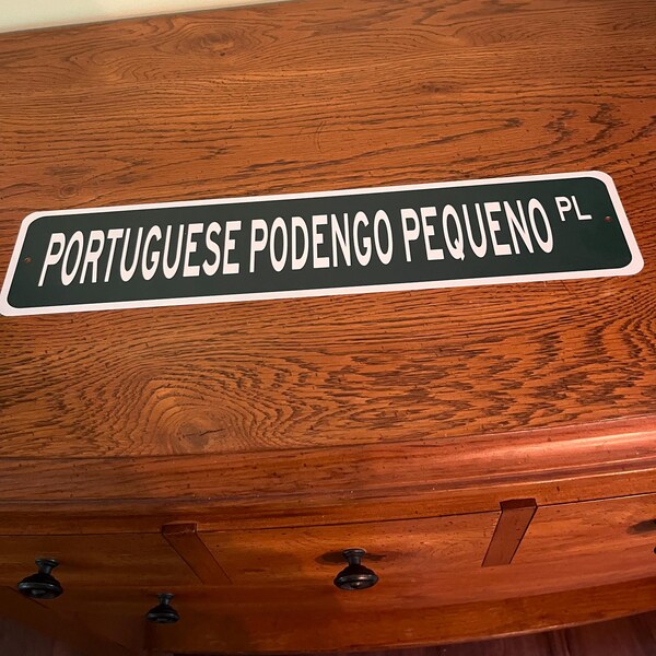 Cardinal, Cardinal Gift, Cardinal Sign, Cardinal Decor, Cardinal Expert ...