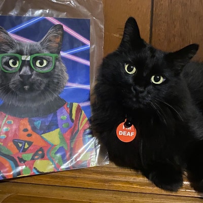 80s School Portrait, Pet Portrait, Custom Pet Portrait, Funny Pet ...