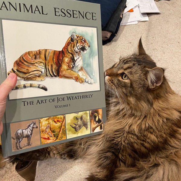 The Weatherly Guide to Drawing Animals - Etsy