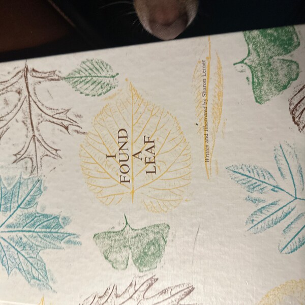 The Rainbow Goblins // 1978 Hardback // Ulde Rico // Children's Picture ...