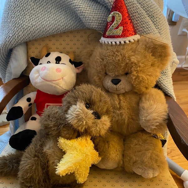 Custom Mini Fun Party Hat, FIRST Birthday, 1st B-day Hat, Girl Boy Dog ...