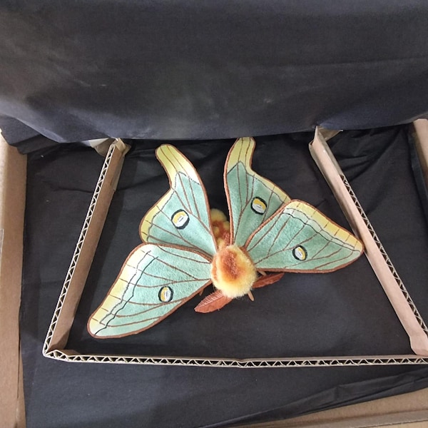 Hercules Moth , Needle Felted, Moth Figurine, Decoration, Handmade ...