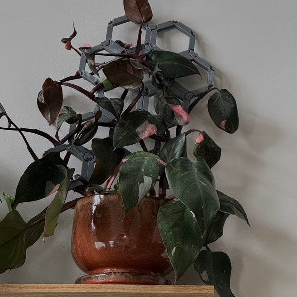 Modular Plant Trellis STL Files ONLY Print at Home Customizable ...