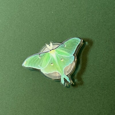 Butterfly Phone Grip, Rare Butterfly Stand, Monarch, Swallowtail, Luna ...