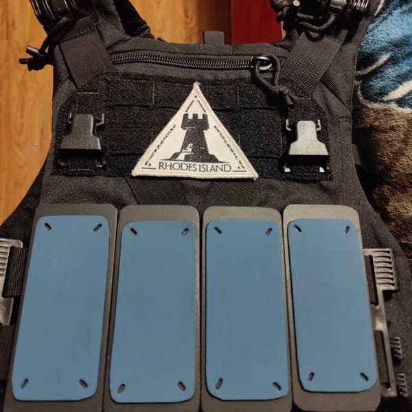 Vanguard Enforcer Body Armor - Etsy