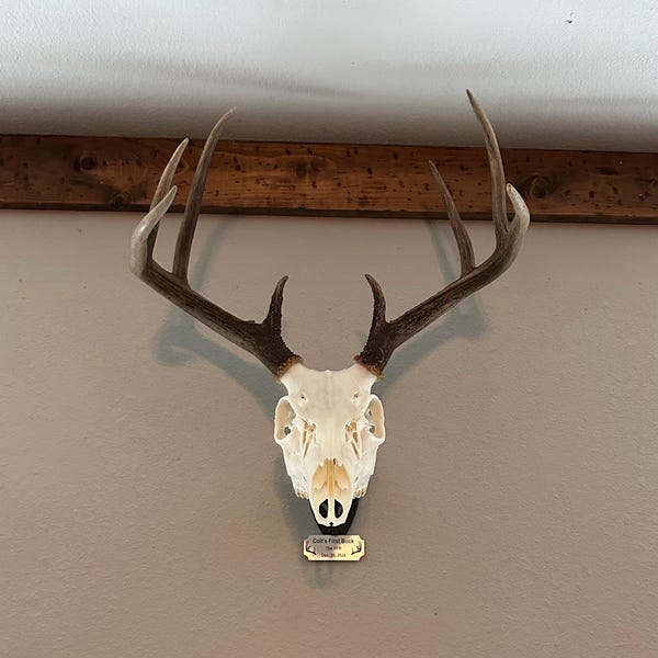 Custom Engraved Buck Plaque With Antlers Gold Silver Copper Bronze Tone ...