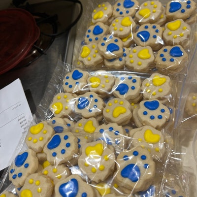 Doctor/lab Coat Cookies 1 Dozen - Etsy