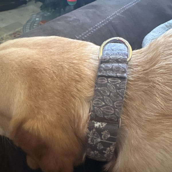 Pink & Purple Patchwork Dog Collar, Unique One of a Kind 1 Inch, 1.5 ...