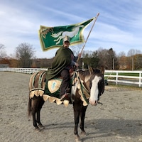 Destrier Horse Costume Medieval Barding Costume Equine Jousting ...