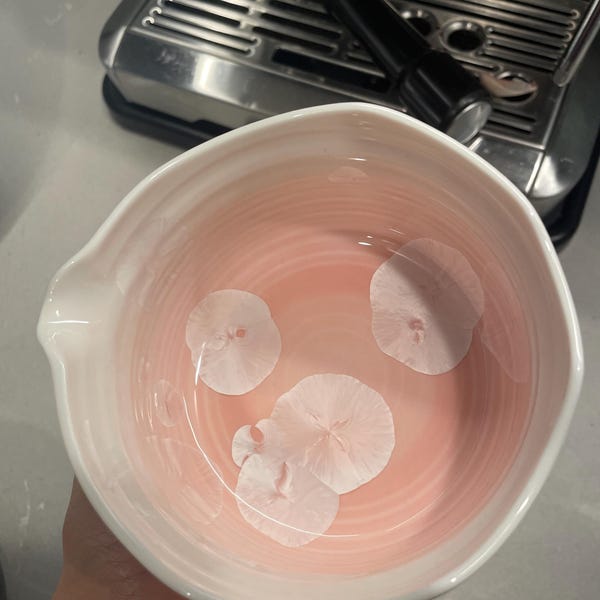 Hand Painted Cute Capybara Matcha Gift Set Matcha Bowl With Bamboo ...