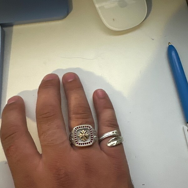 Men's Signet Ring With Bronze Lion Head, Fleur De Lis Band Ring, Leo Zodiac Sign, Leo Astrology ...